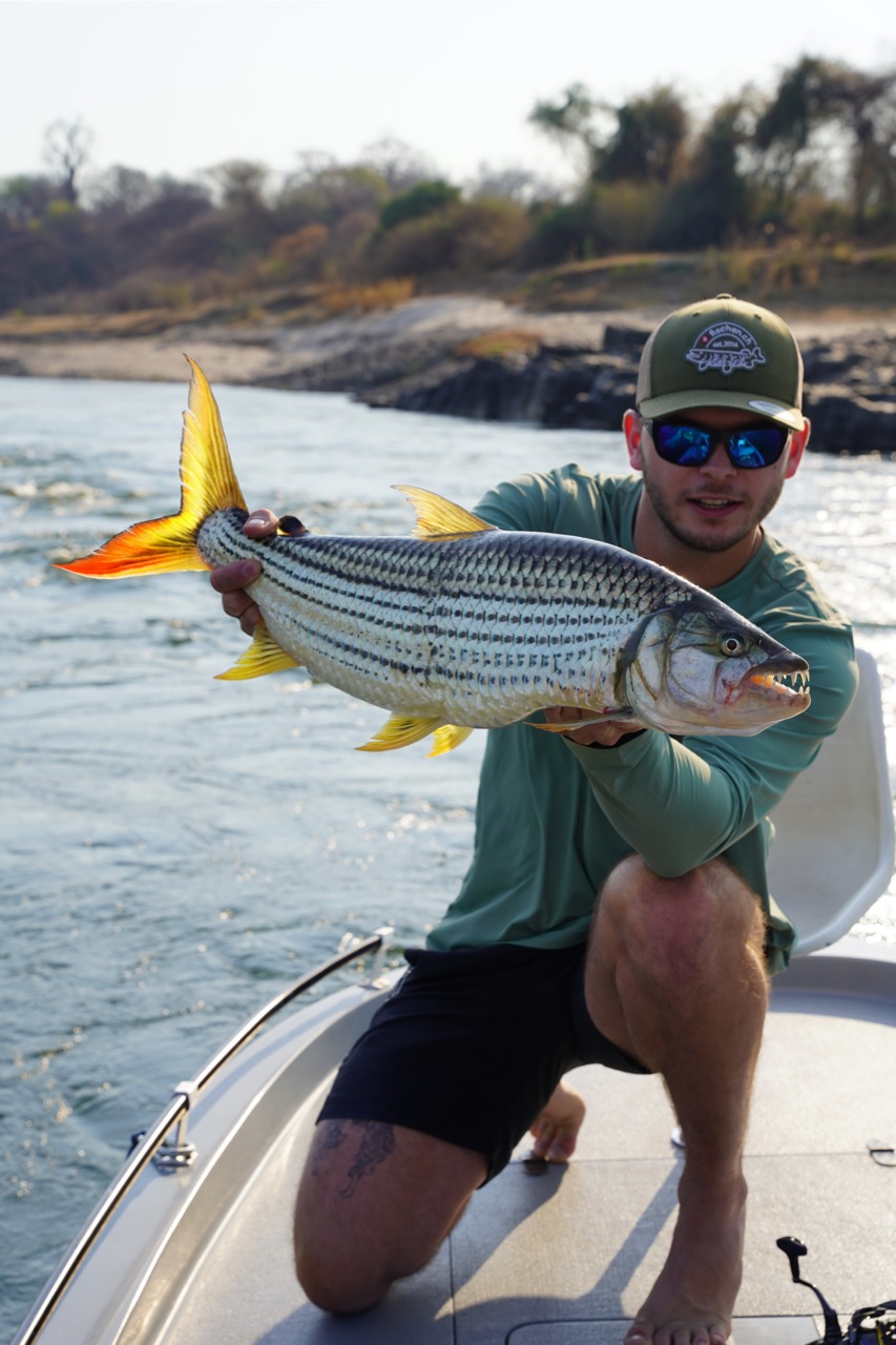 Fischerreise nach Zimbabwe - Auf Tigerfish am Zambezi River : fishbreak.ch